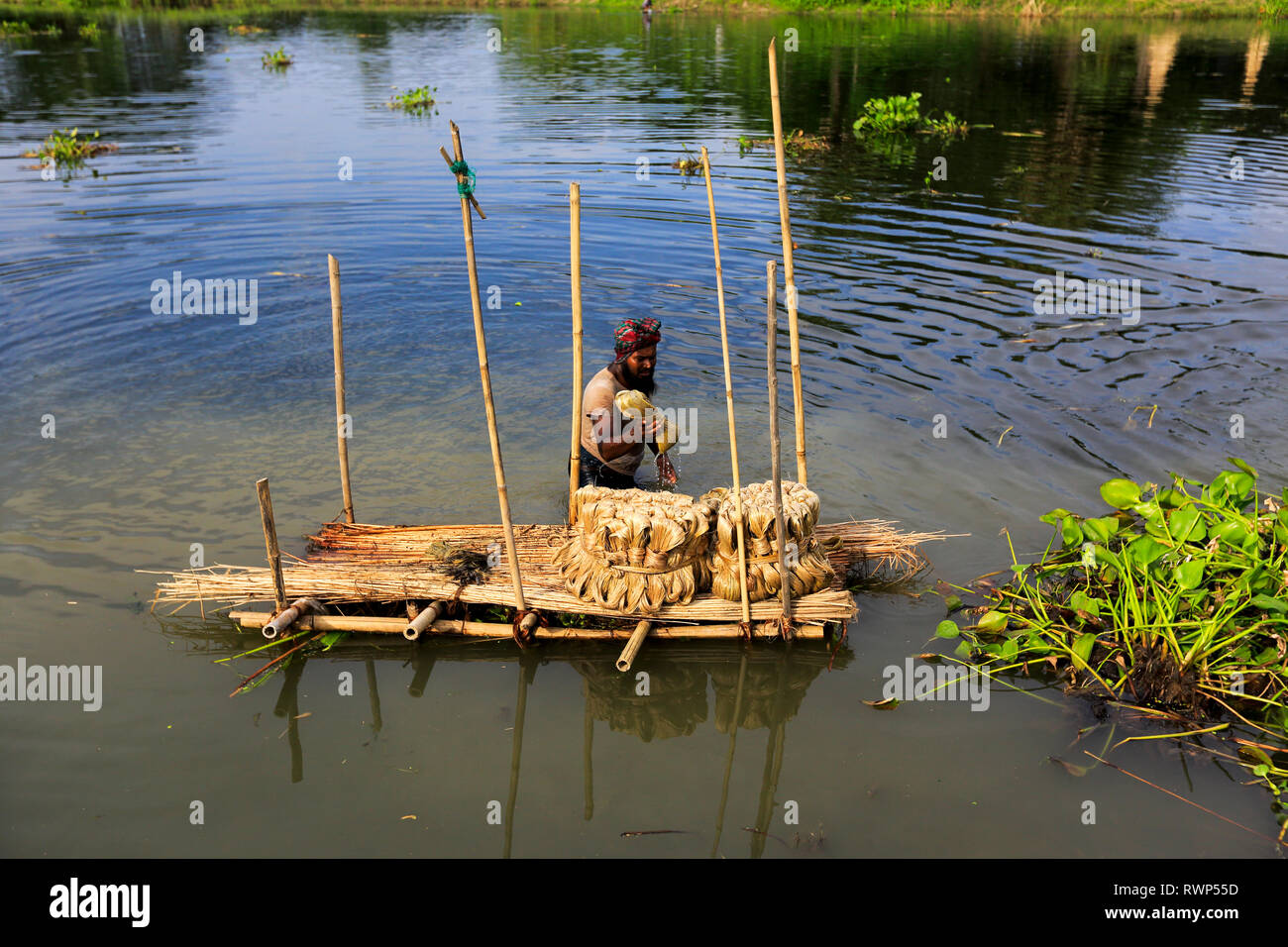 Farmer washing jute fibres in hi-res stock photography and images - Alamy