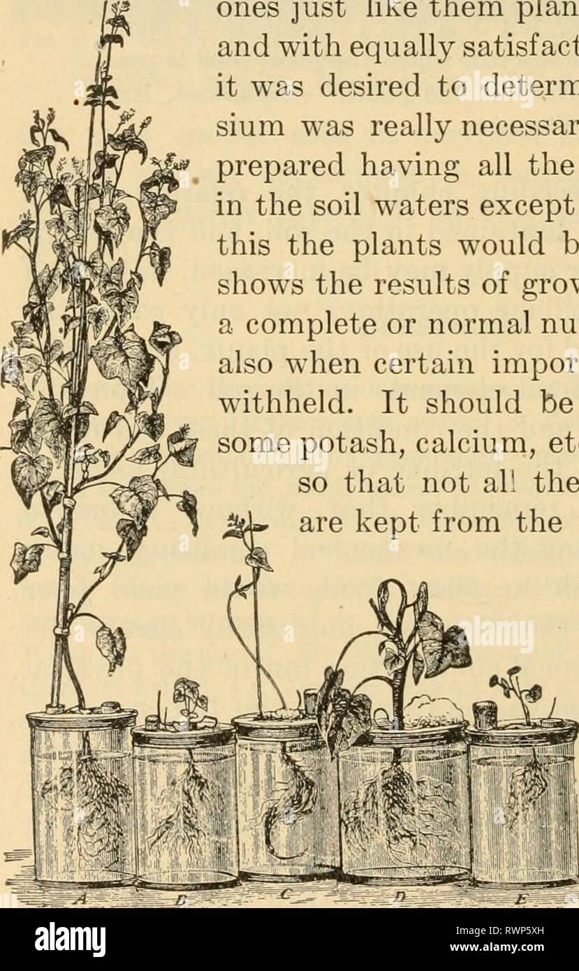 Elementary principles of agriculture Stock Photo - Alamy