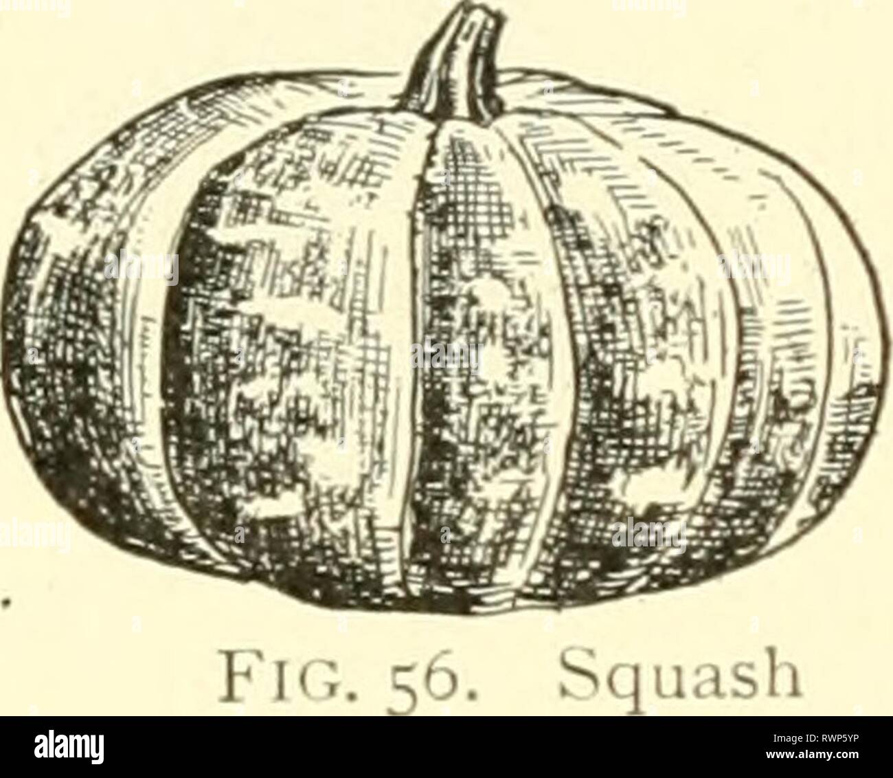 Elements of Philippine agriculture (1908 Stock Photo - Alamy