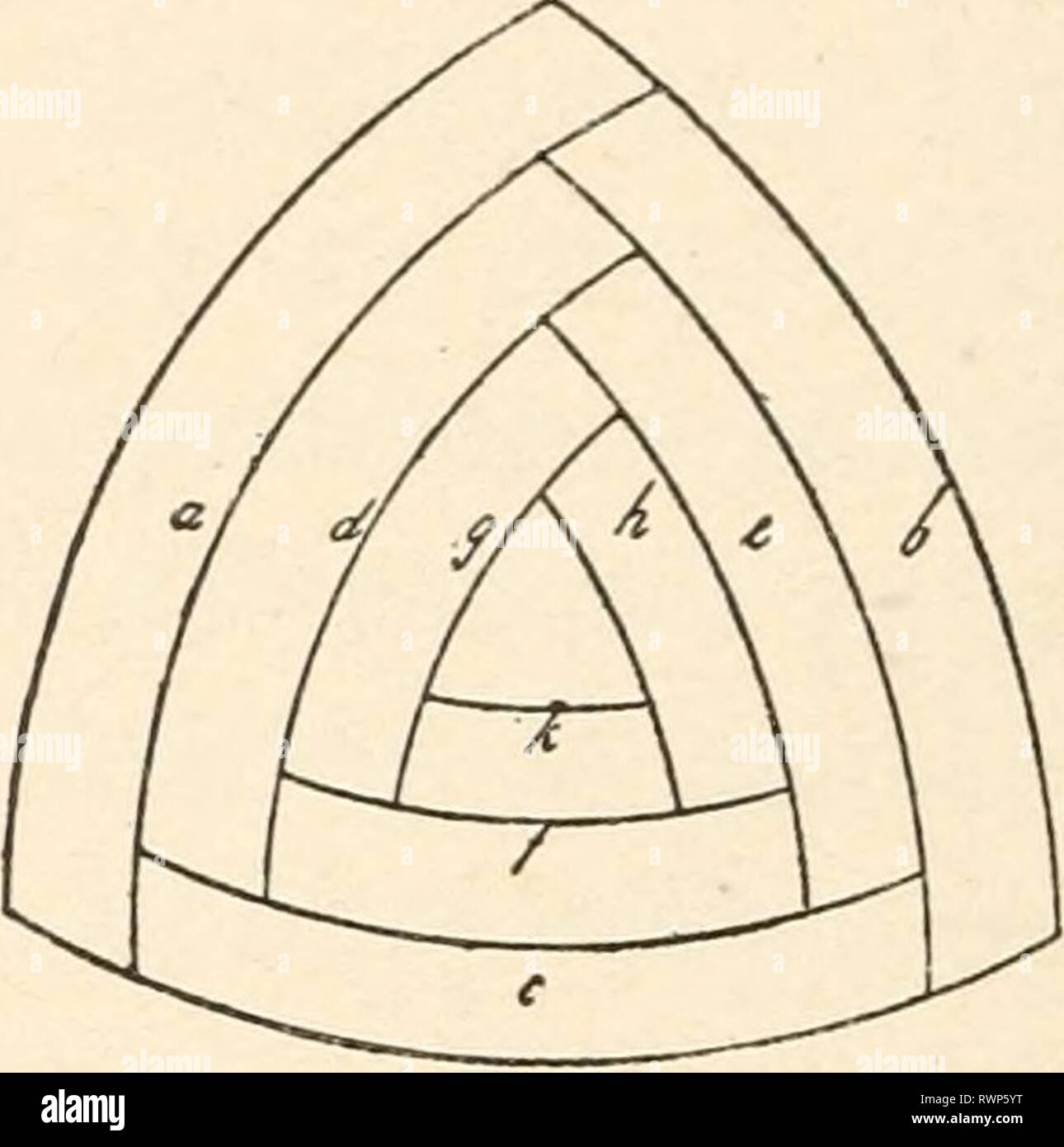 Elements of plant anatomy; (1895) Elements of plant anatomy ...