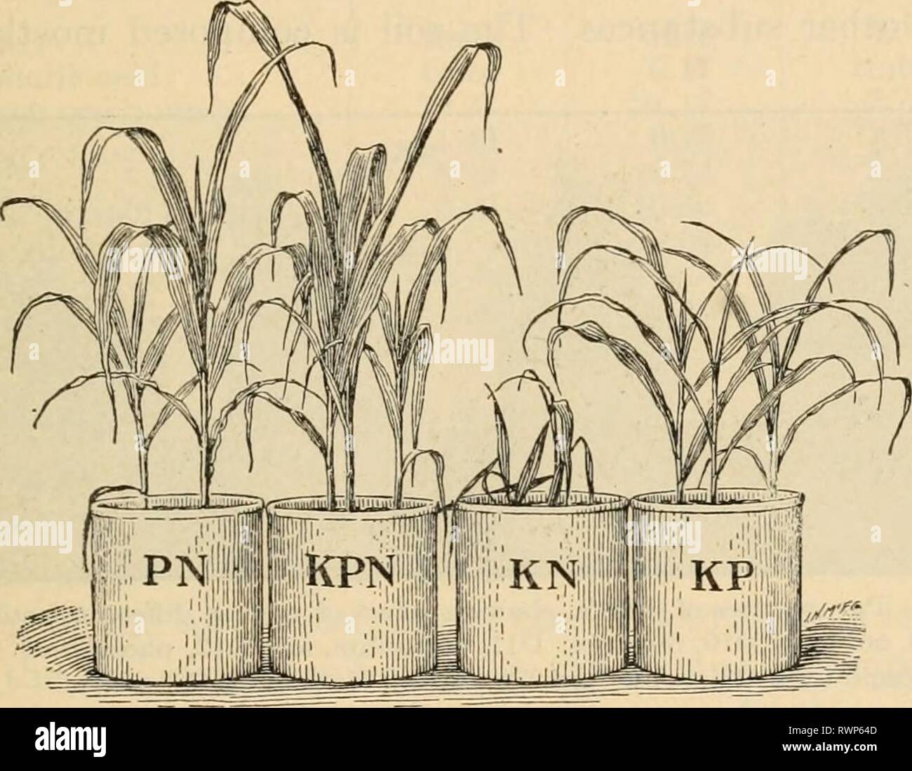 Elementary principles of agriculture Stock Photo - Alamy