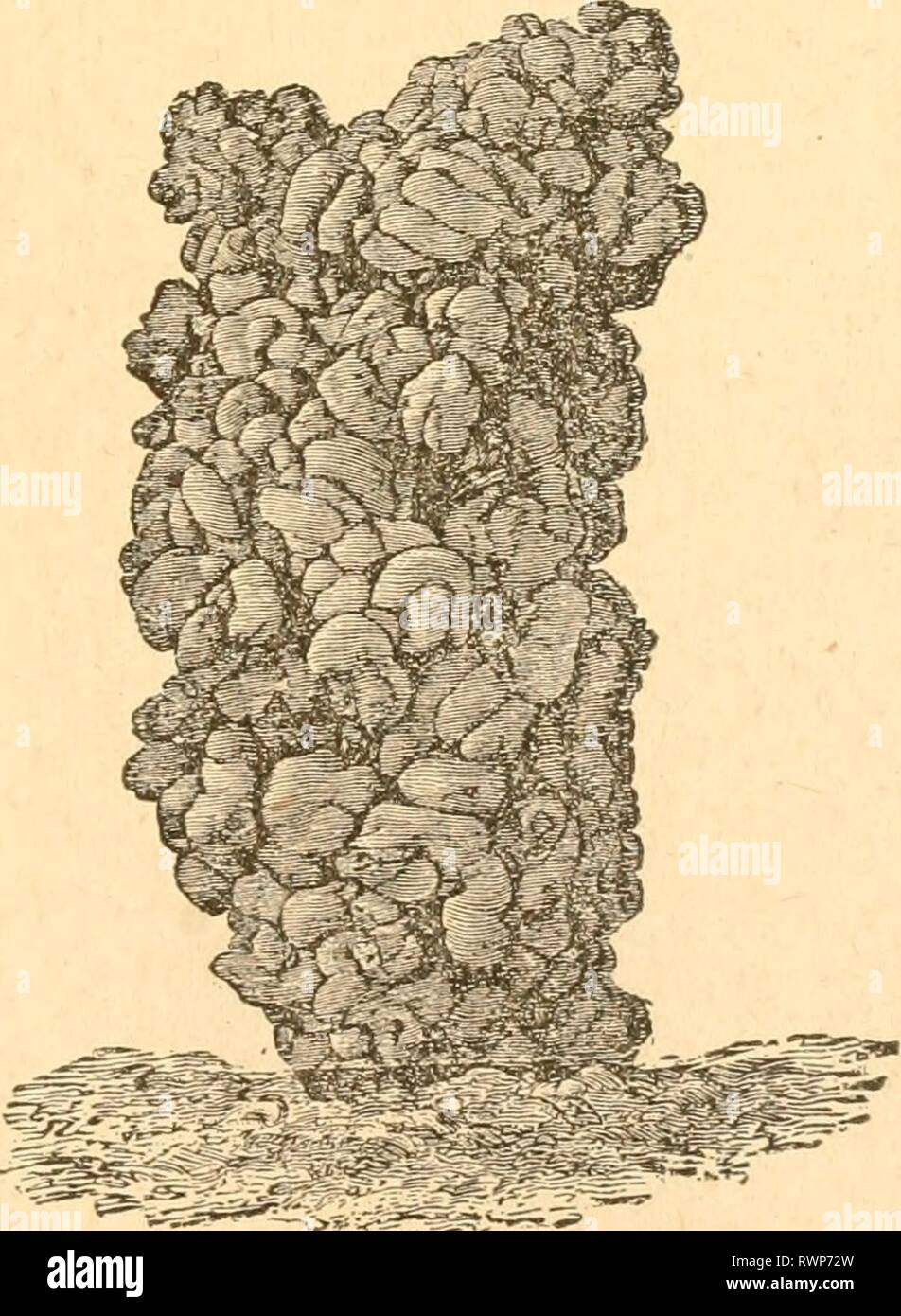 Elementary lessons in the physics Elementary lessons in the physics of ...