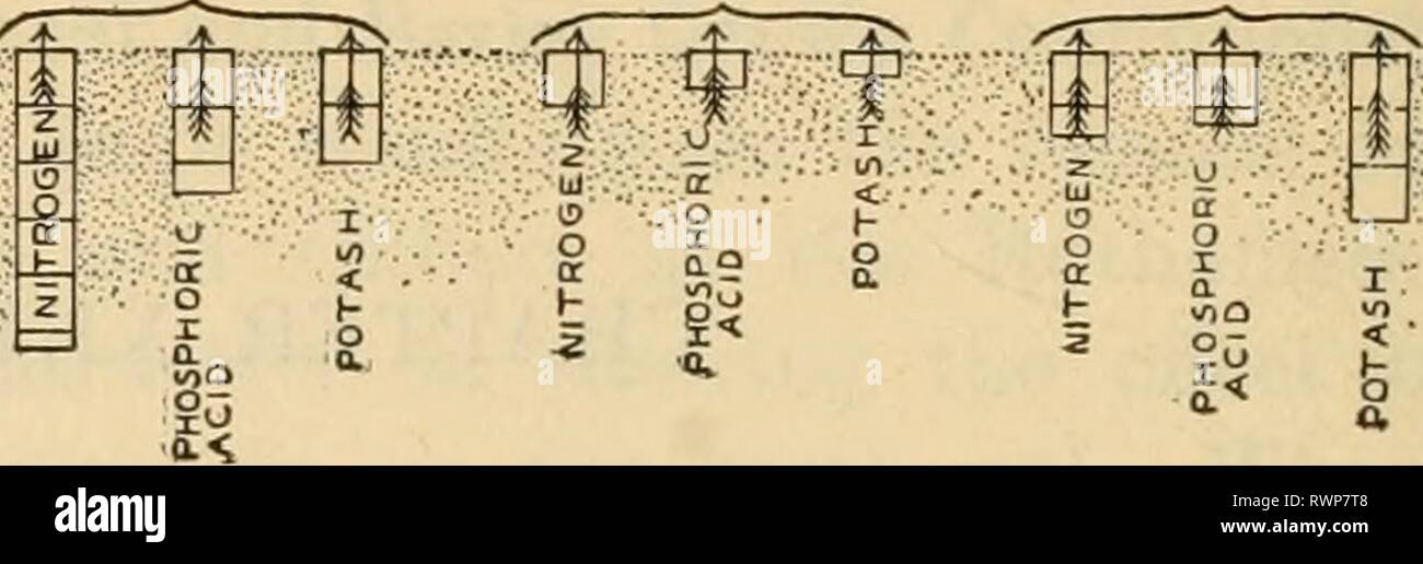 Elementary principles of agriculture Stock Photo - Alamy