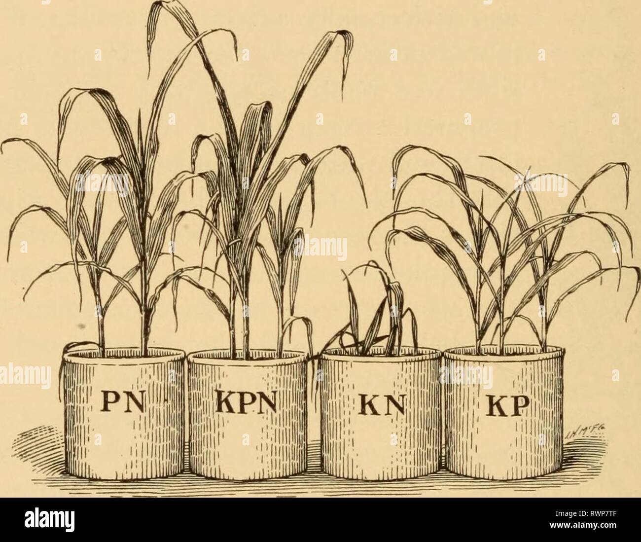 Elementary principles of agriculture; a Stock Photo - Alamy