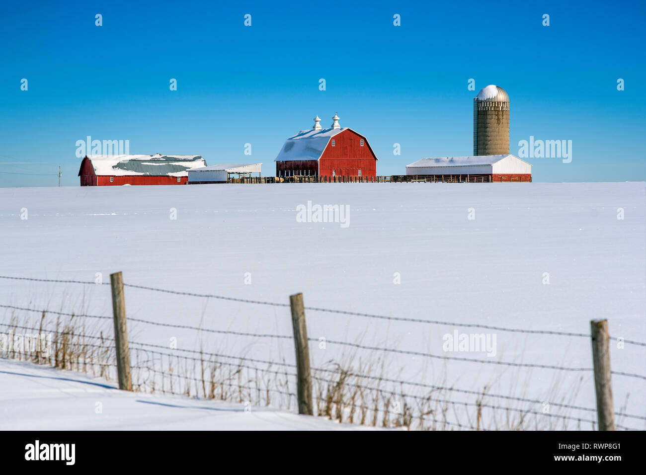 Iowa corn fields hi-res stock photography and images - Alamy
