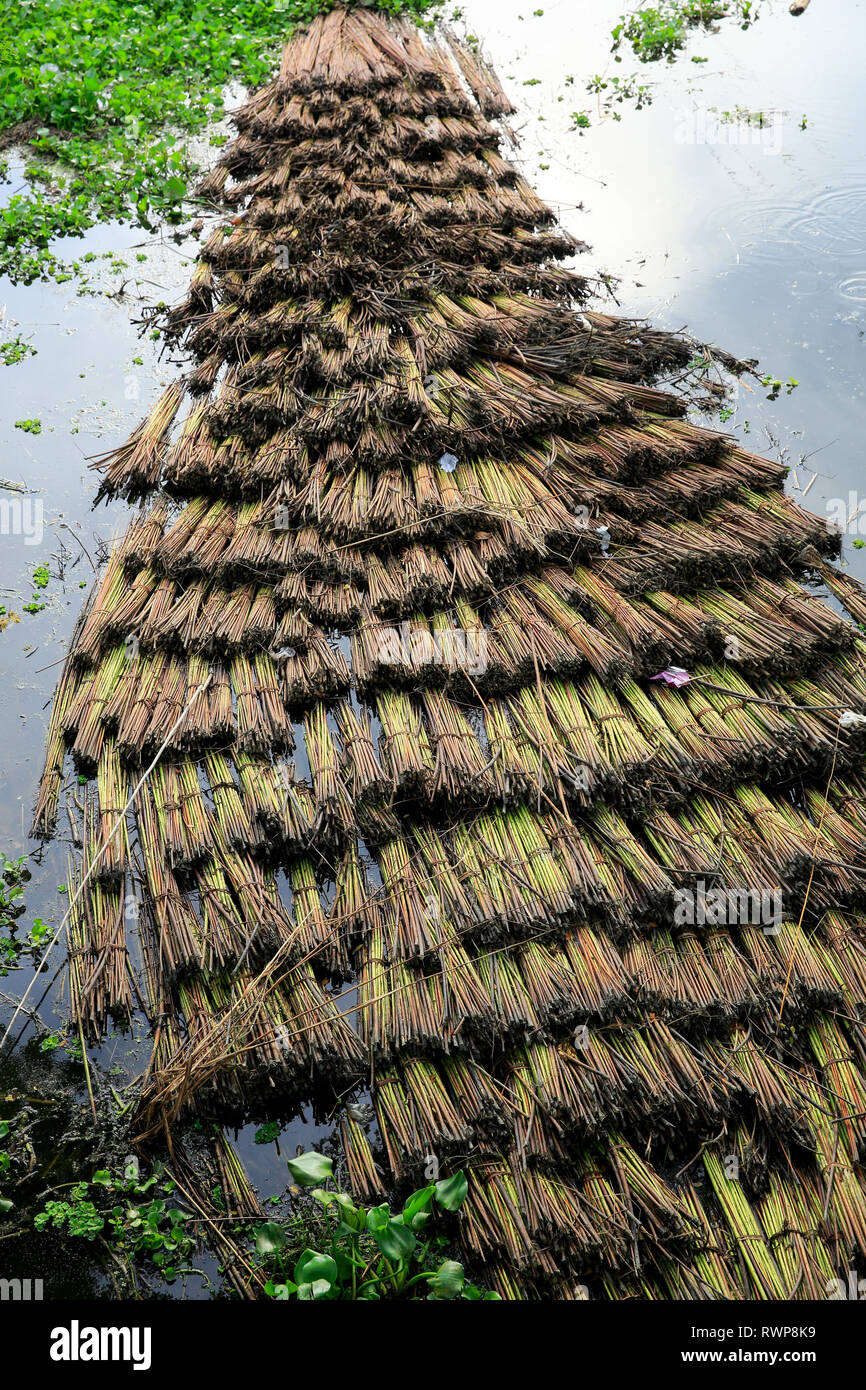 Rotting of jute hi-res stock photography and images - Alamy