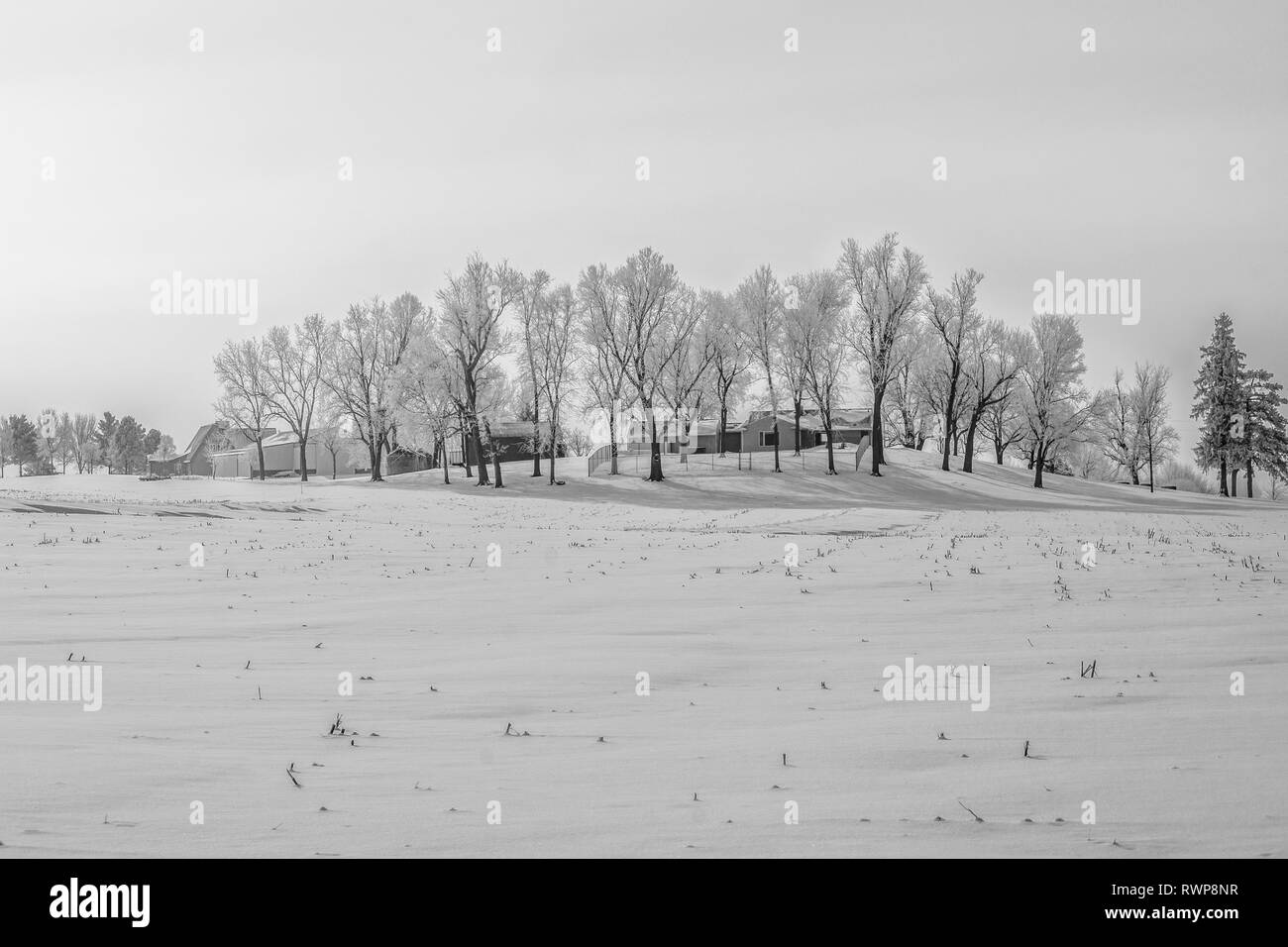 Corn field iowa hi-res stock photography and images - Alamy