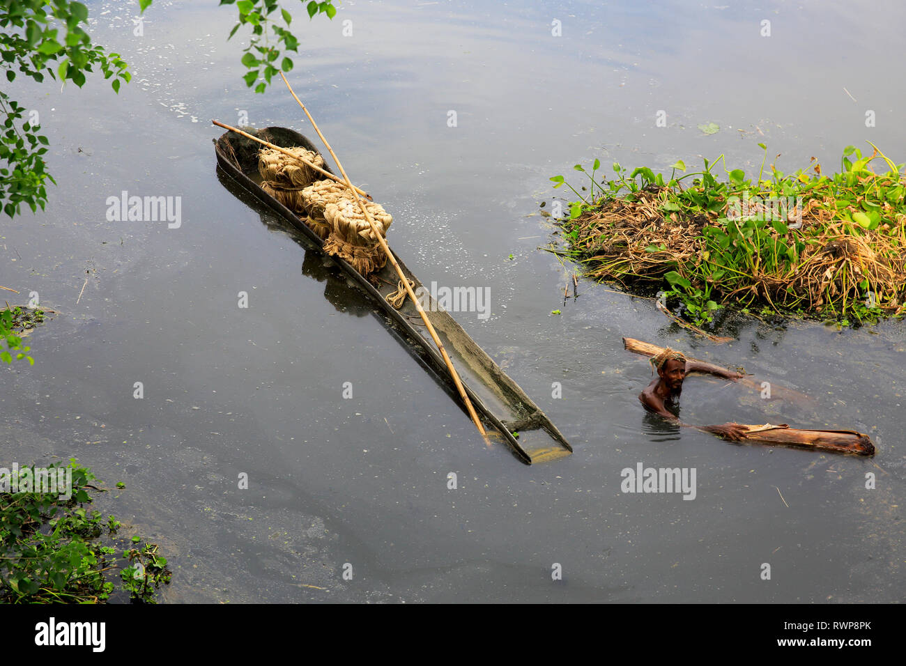 A palm tree boat also called donga carries jute fibres on a marsh in ...