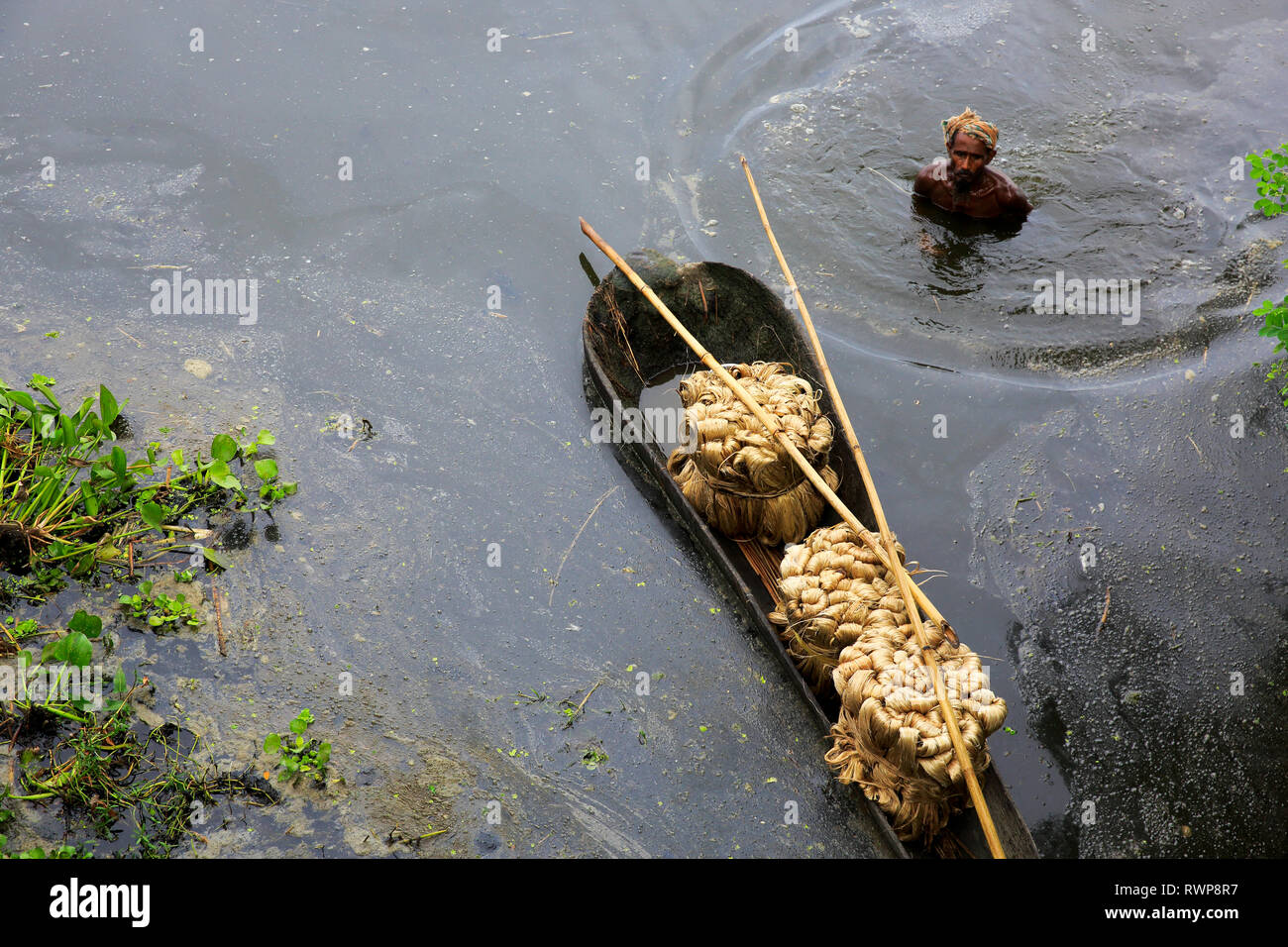A palm tree boat also called donga carries jute fibres on a marsh in ...