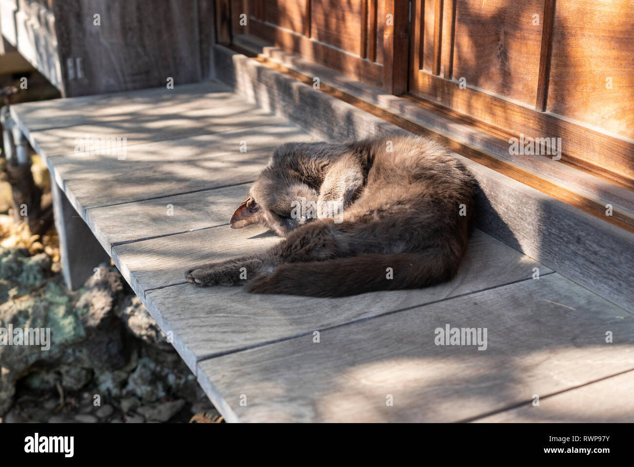 Alberata High Resolution Stock Photography and Images - Alamy