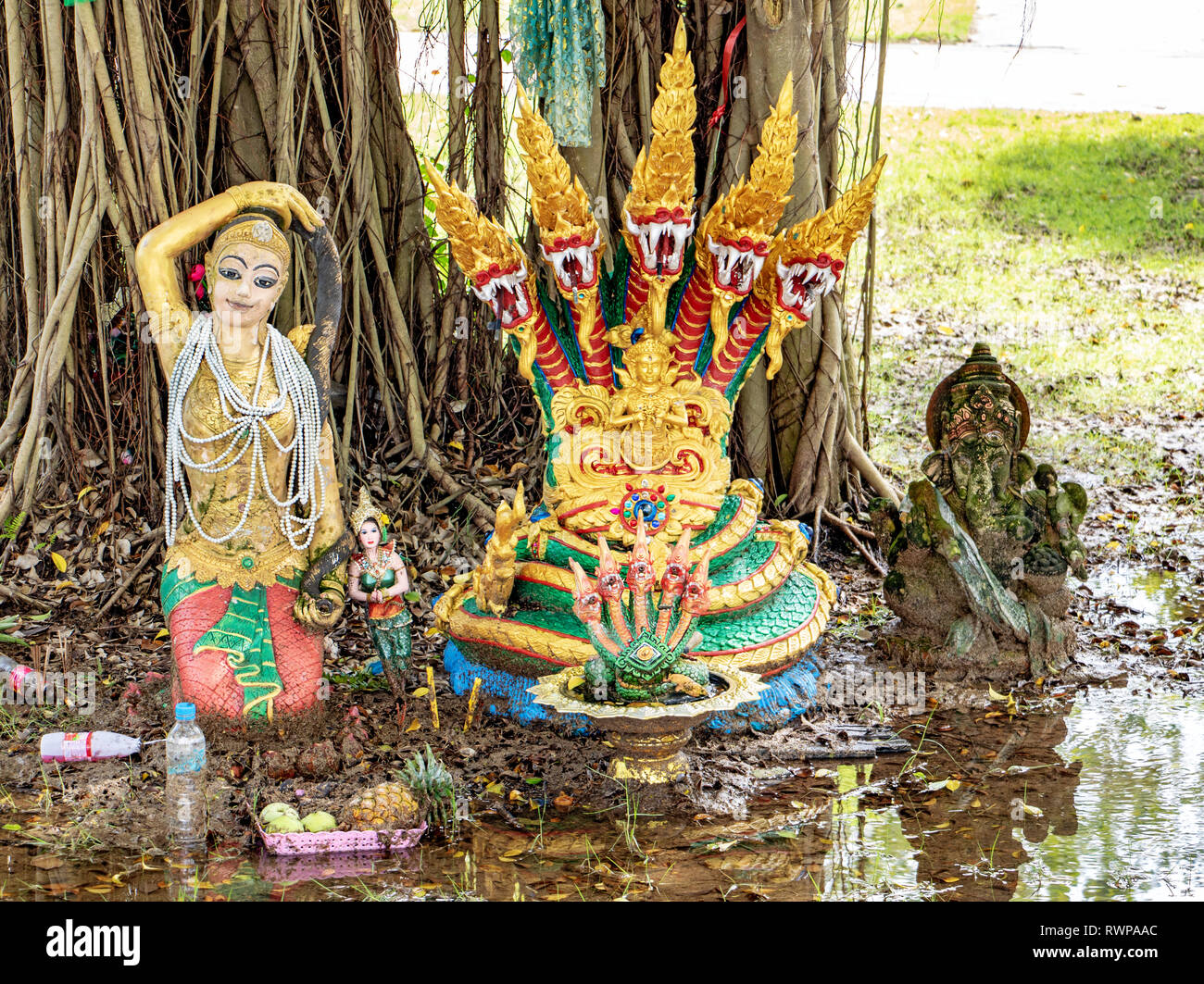 Sacral statues of Buddha and Naga under a tree in Buddhist monastery ...