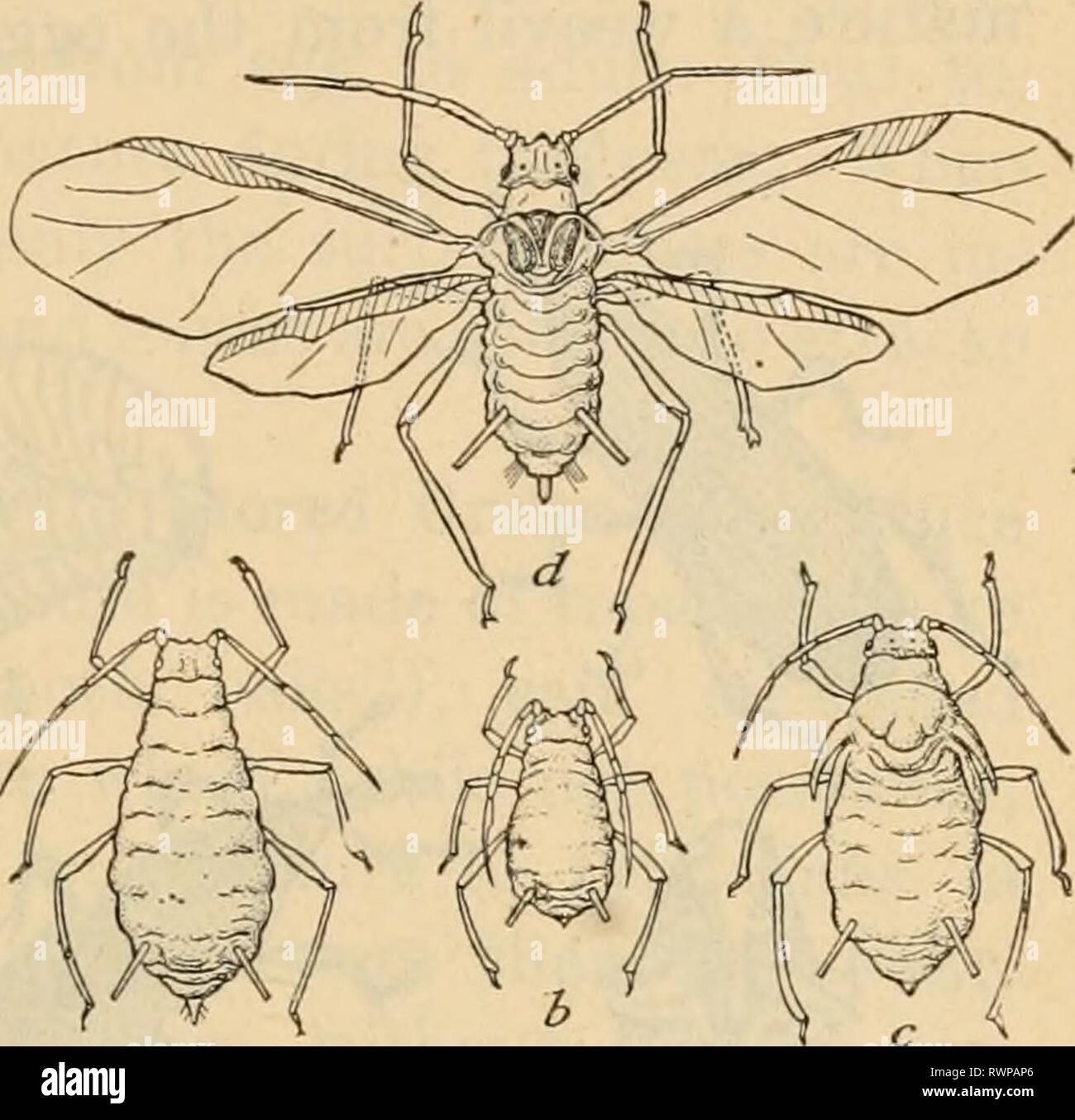 Elementary principles agriculture hi-res stock photography and images ...
