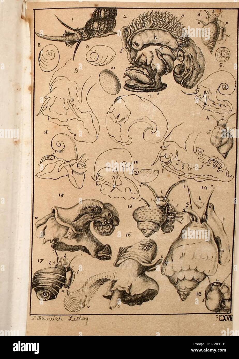 Siphon canal hi-res stock photography and images - Alamy