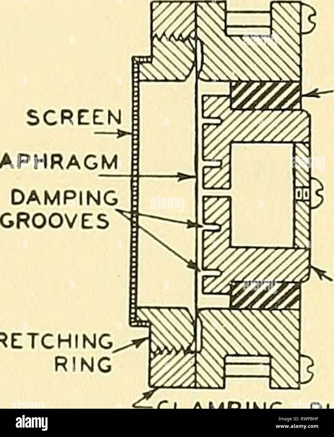 Sectional view fig hi-res stock photography and images - Alamy