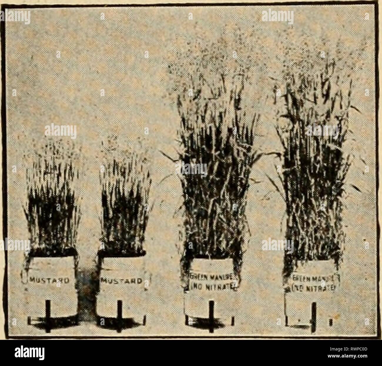 Elementary principles of agriculture Stock Photo - Alamy