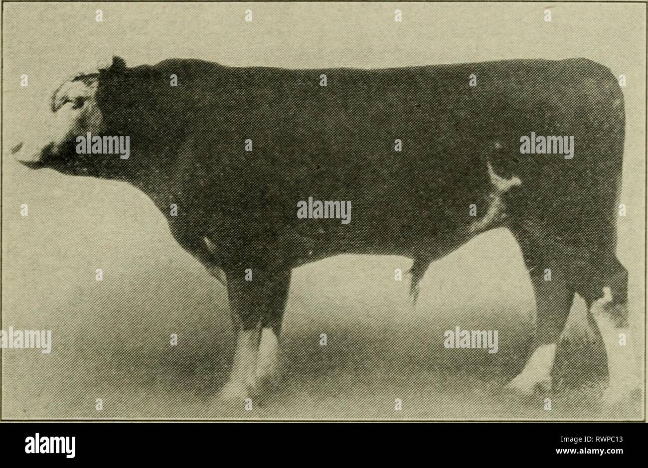 Elements of agriculture; a text-book Stock Photo - Alamy