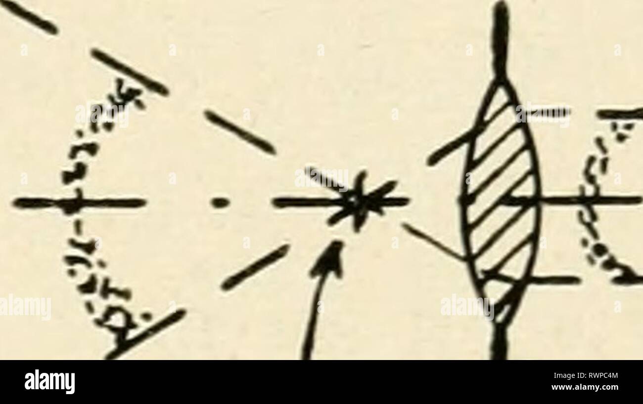 Grid electron microscope hi-res stock photography and images - Alamy