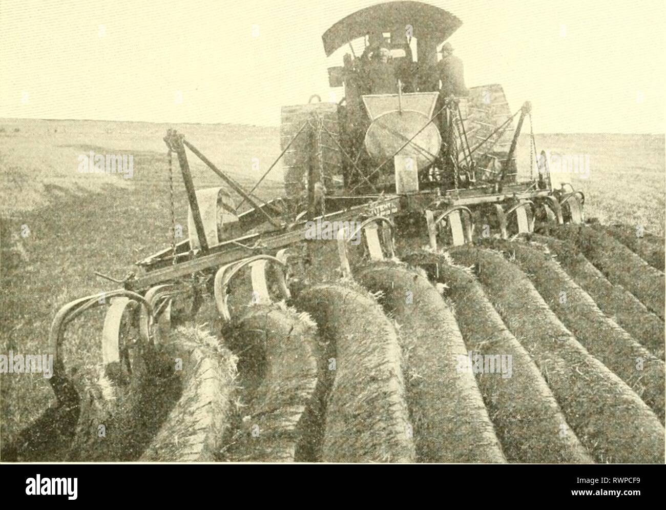 Elements of Philippine agriculture (1908 Stock Photo - Alamy