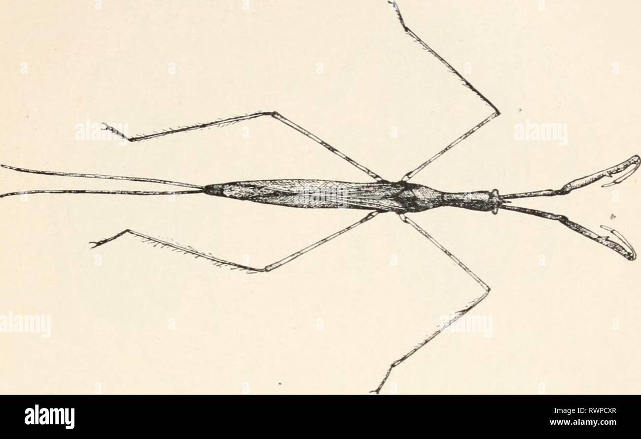 Long breathing tube hi-res stock photography and images - Alamy