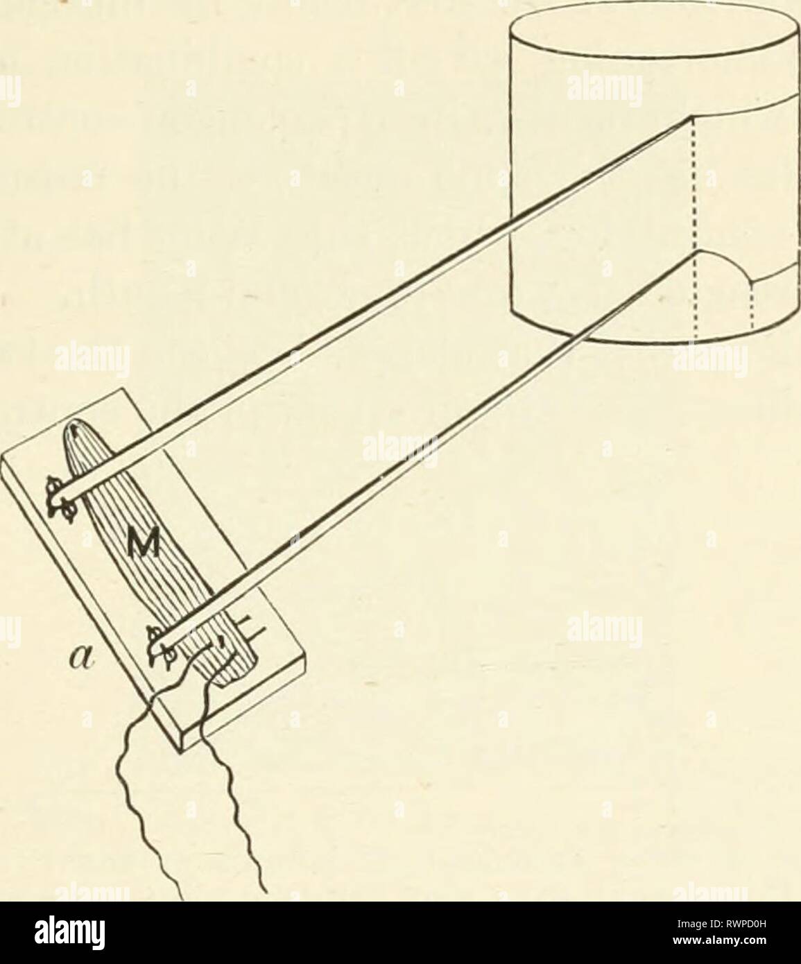 Elements of human physiology (1907) Elements of human physiology ...
