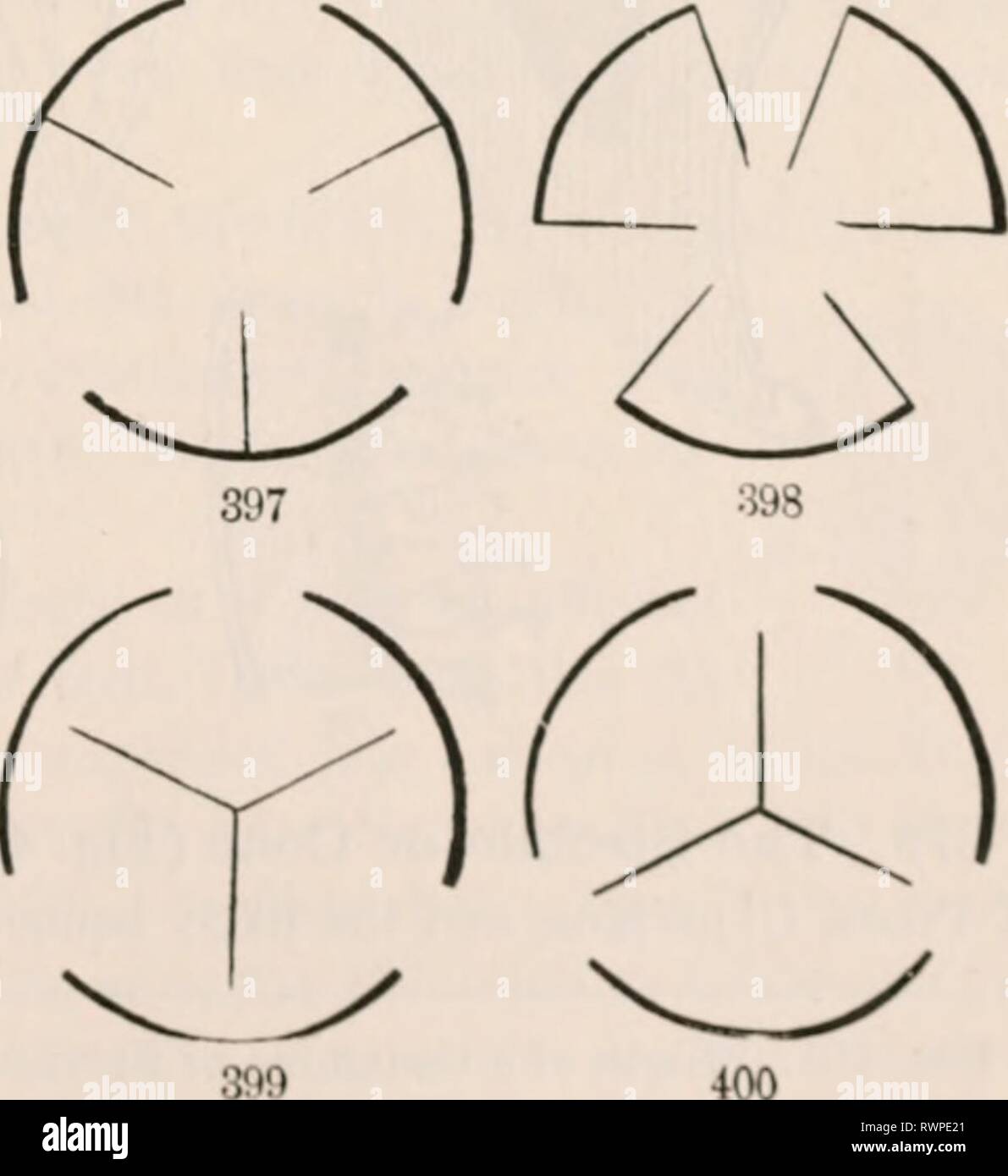 Septicidal hi-res stock photography and images - Alamy