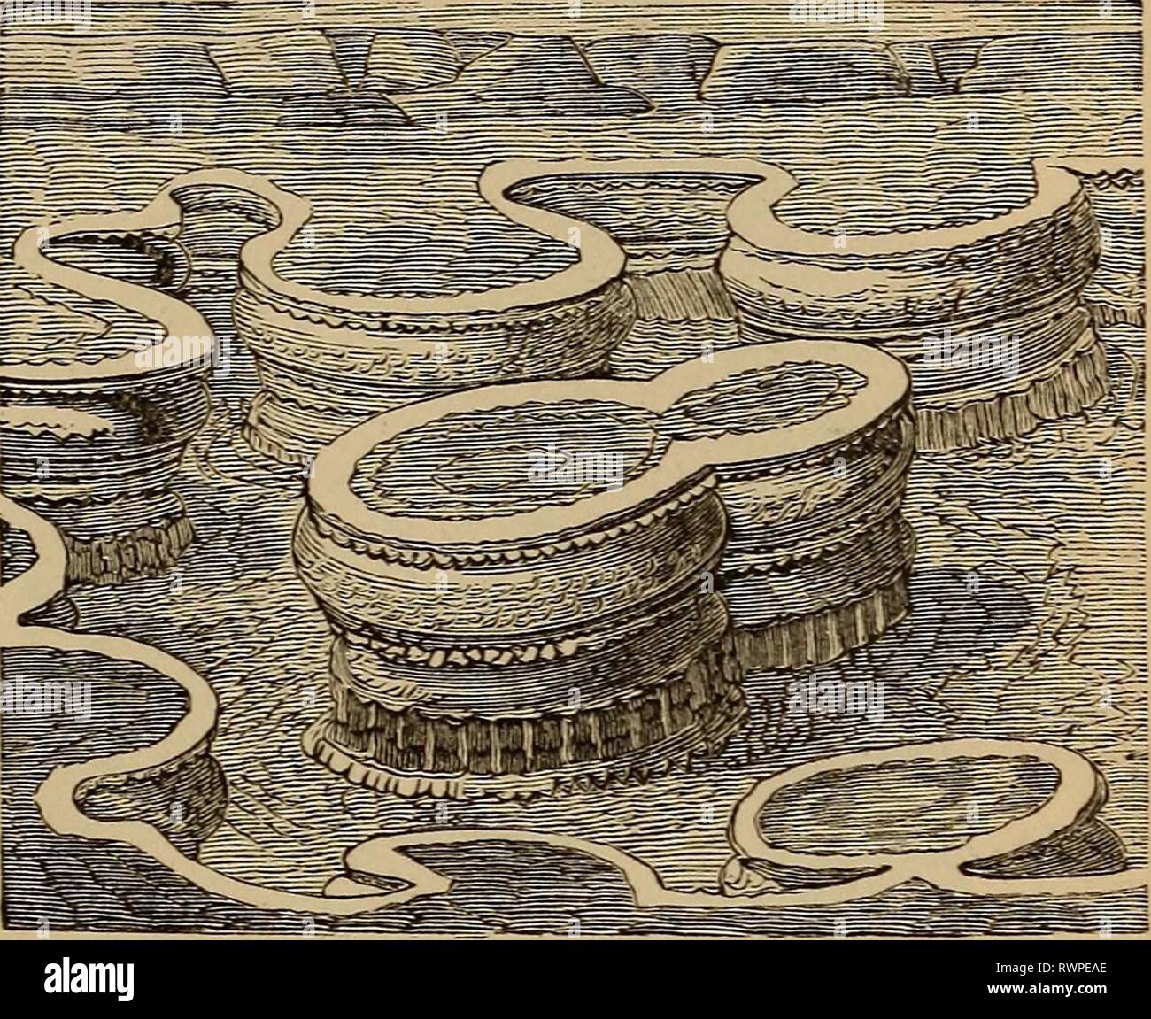 Elements of geology a Stock Photo - Alamy