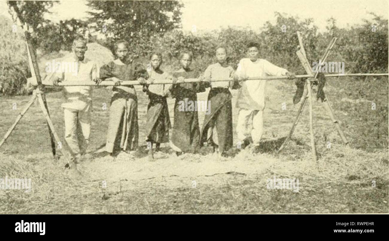 Elements of Philippine agriculture (1908 Stock Photo - Alamy