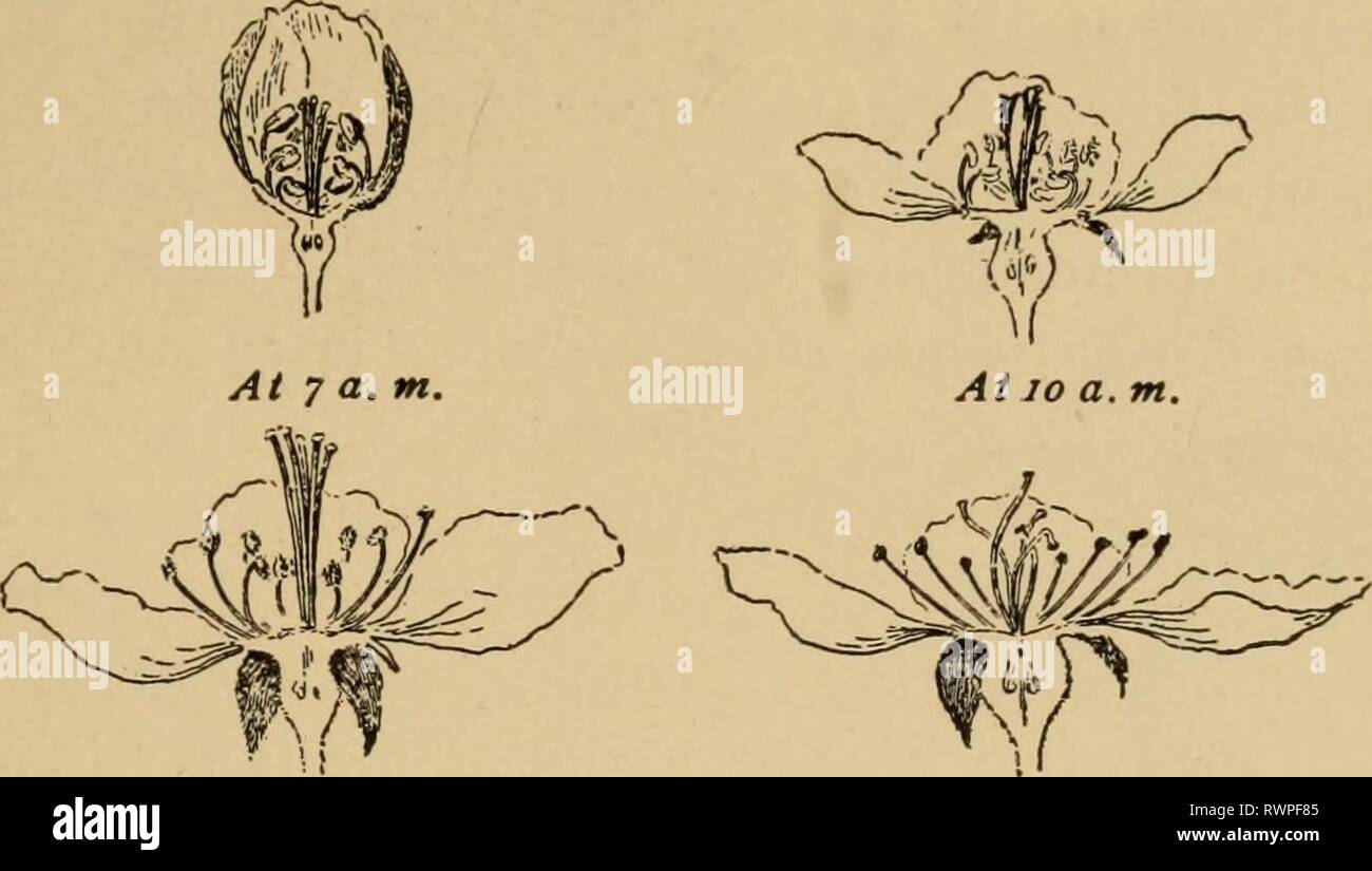 Elementary principles of agriculture; a Stock Photo - Alamy