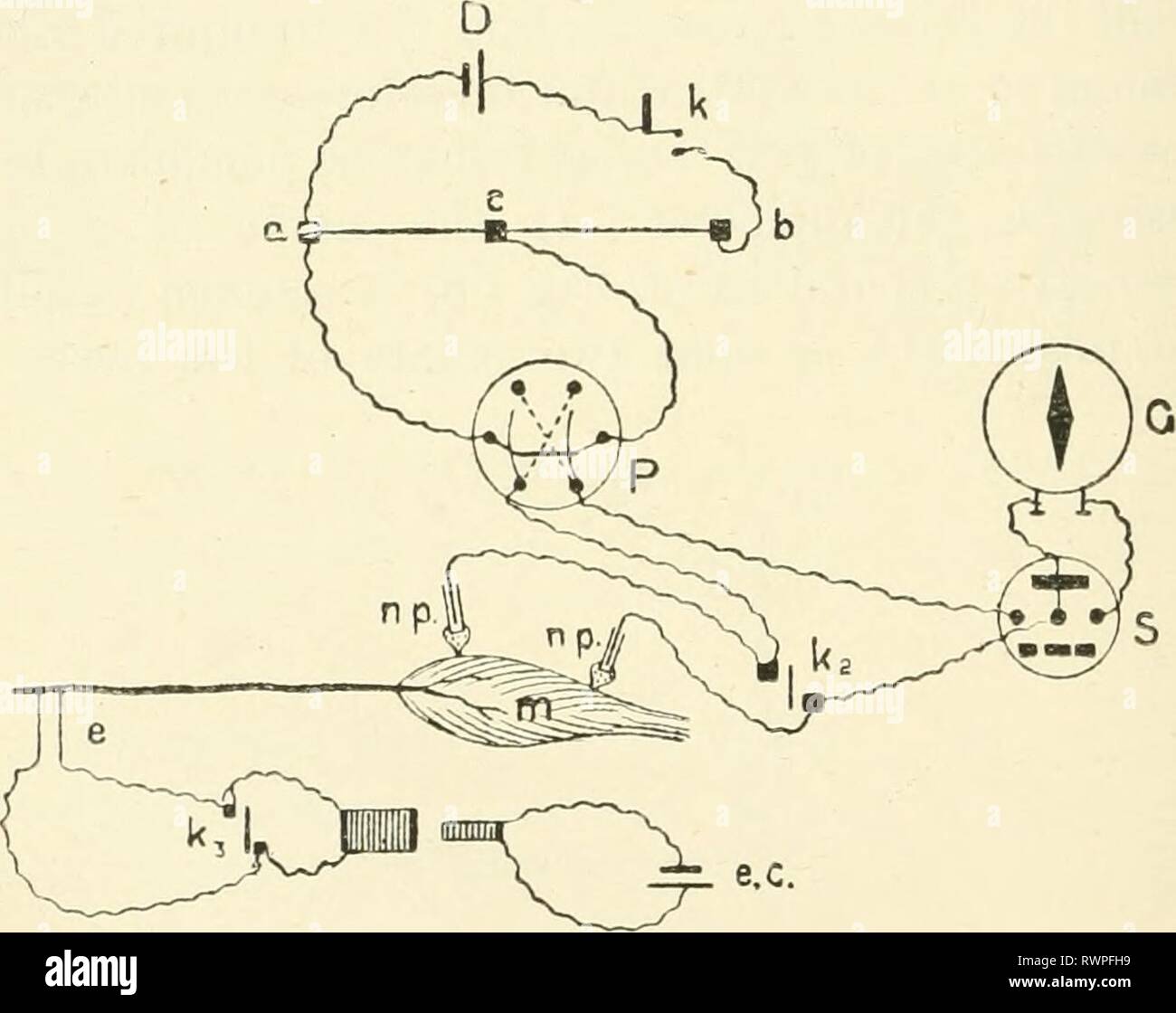 Tetanus back hi-res stock photography and images - Alamy