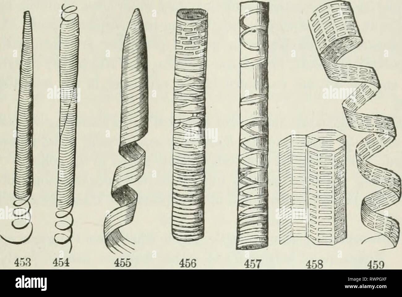 The elements of botany for The elements of botany for beginners and for ...