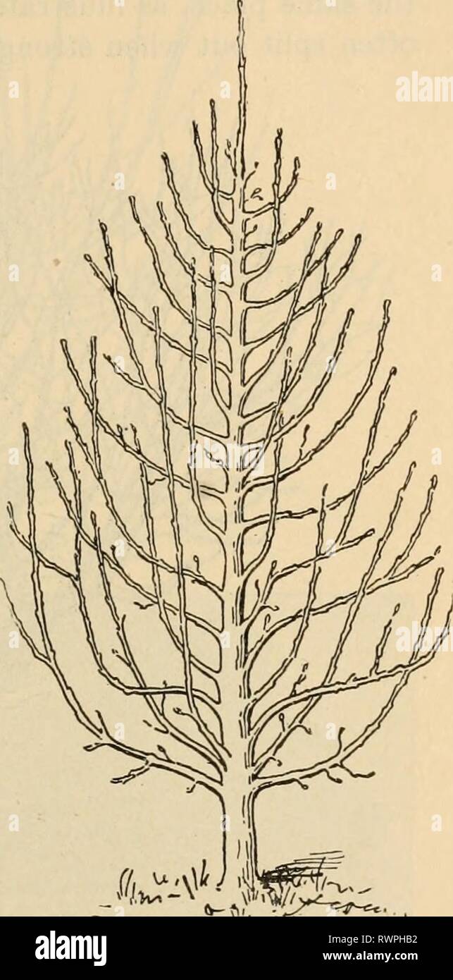 Elementary principles of agriculture Stock Photo - Alamy