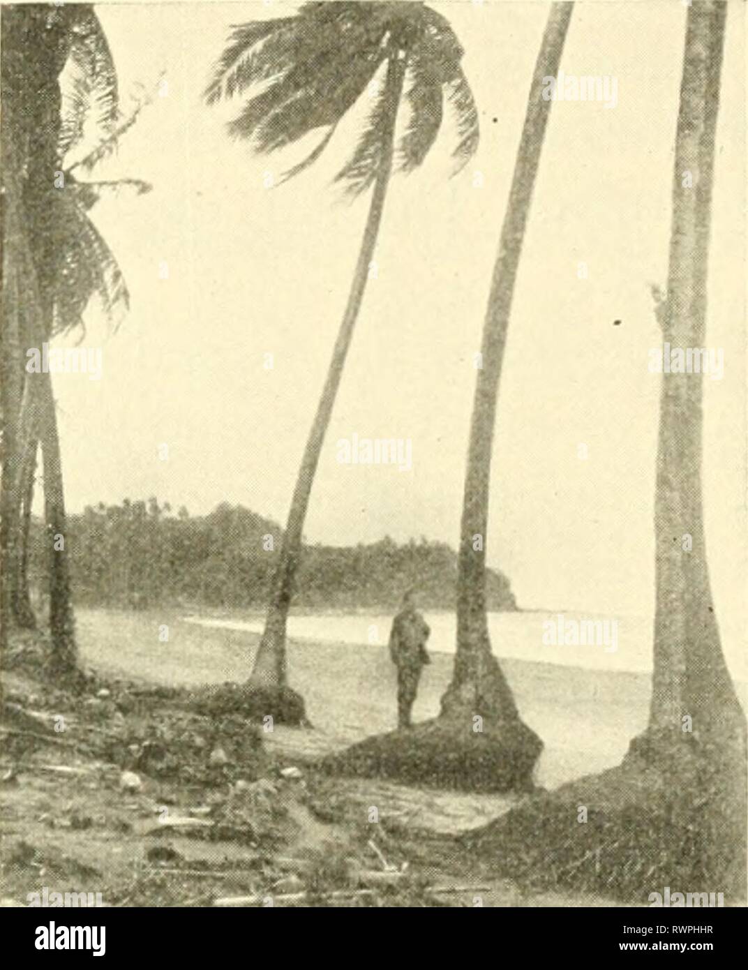 Elements of Philippine agriculture (1908 Stock Photo - Alamy