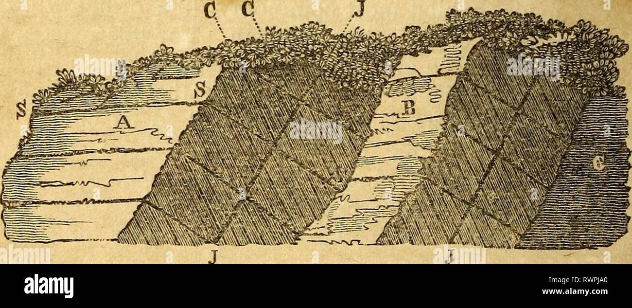 Elements of geology (1839 Stock Photo - Alamy