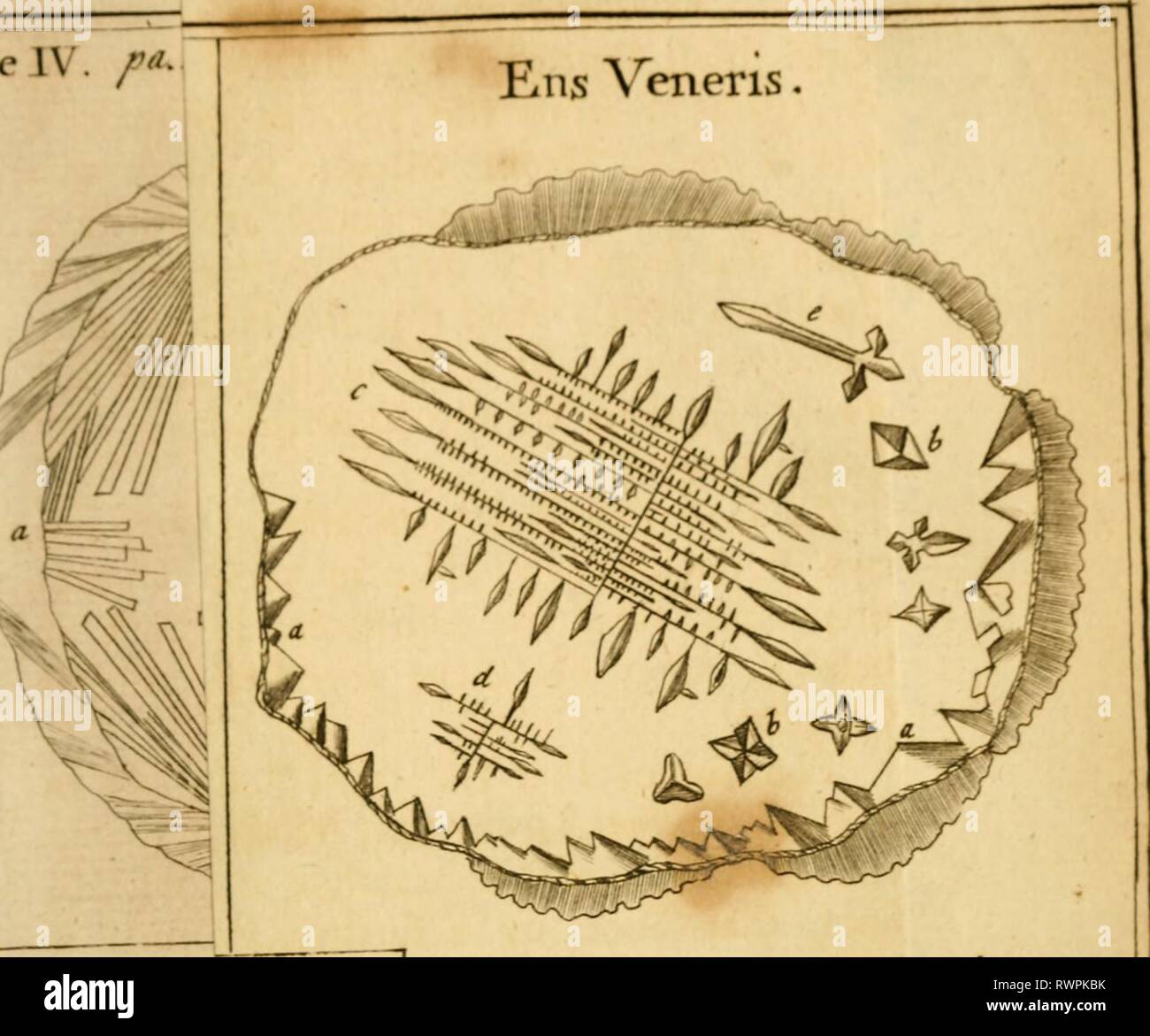 Employment for the microscope Stock Photo - Alamy