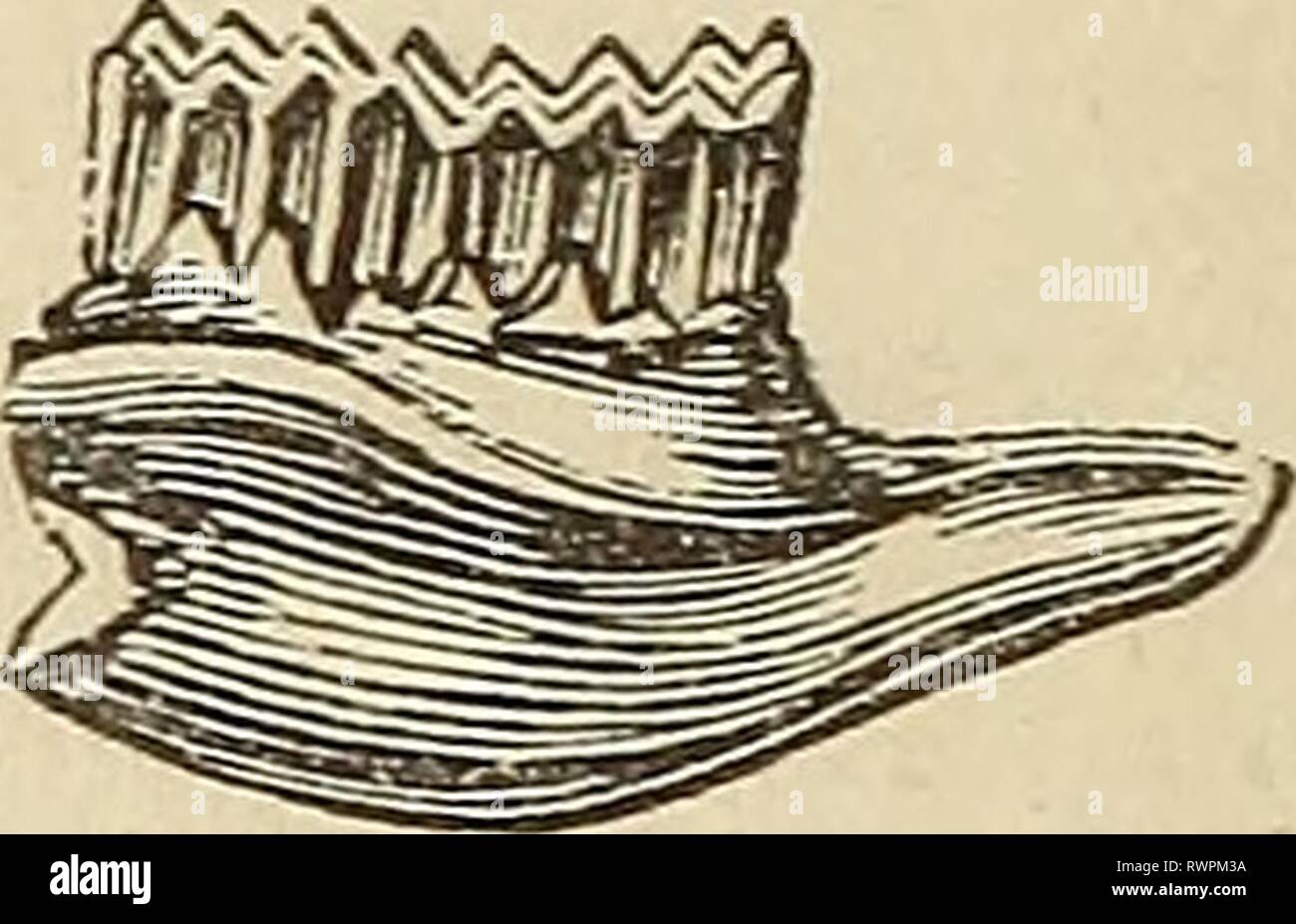 Elements of geology, or, The Stock Photo - Alamy