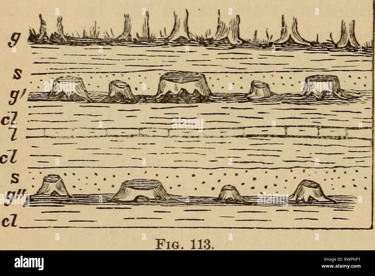 Elements of geology a Stock Photo - Alamy