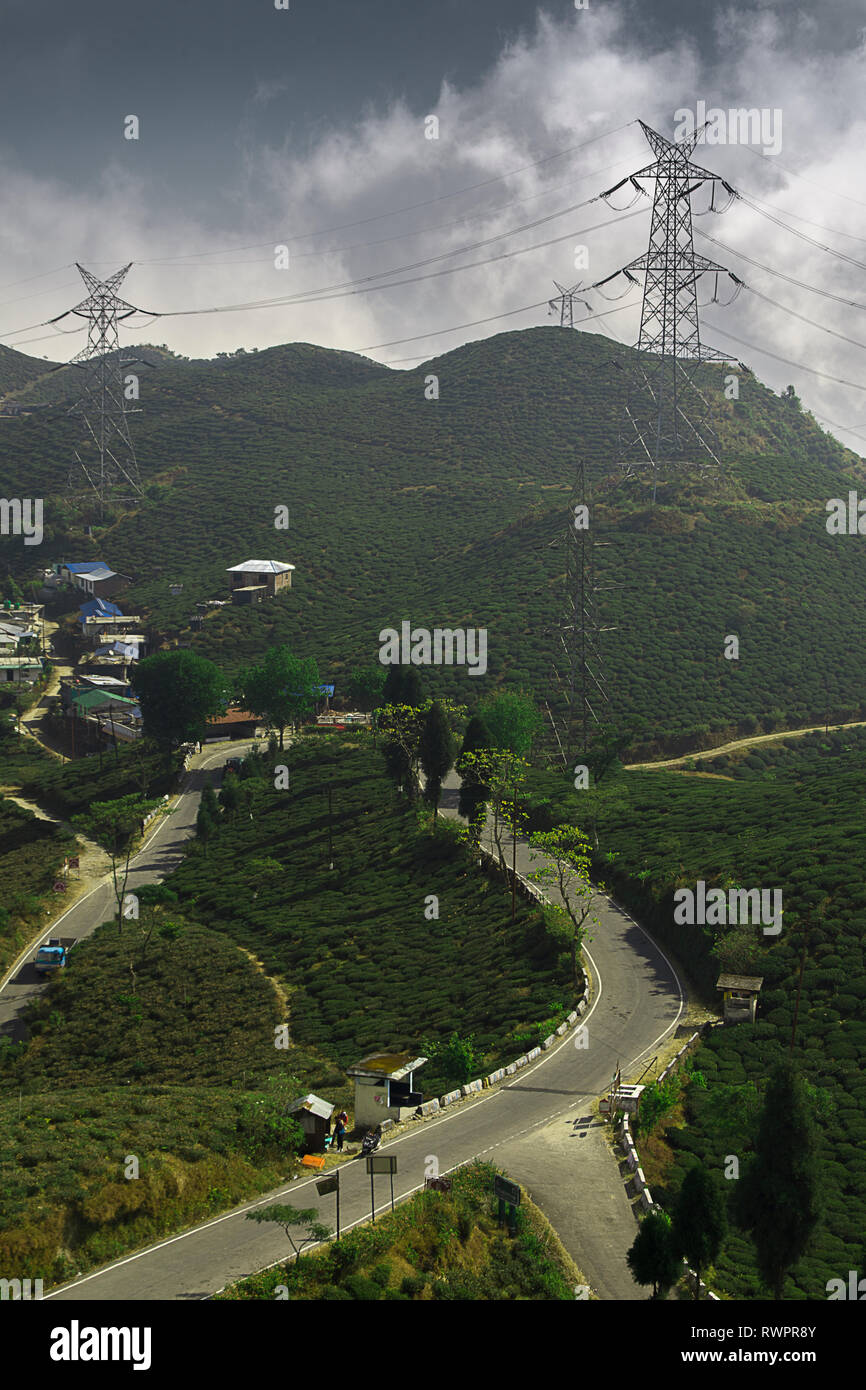 Mirik tea garden hi-res stock photography and images - Alamy