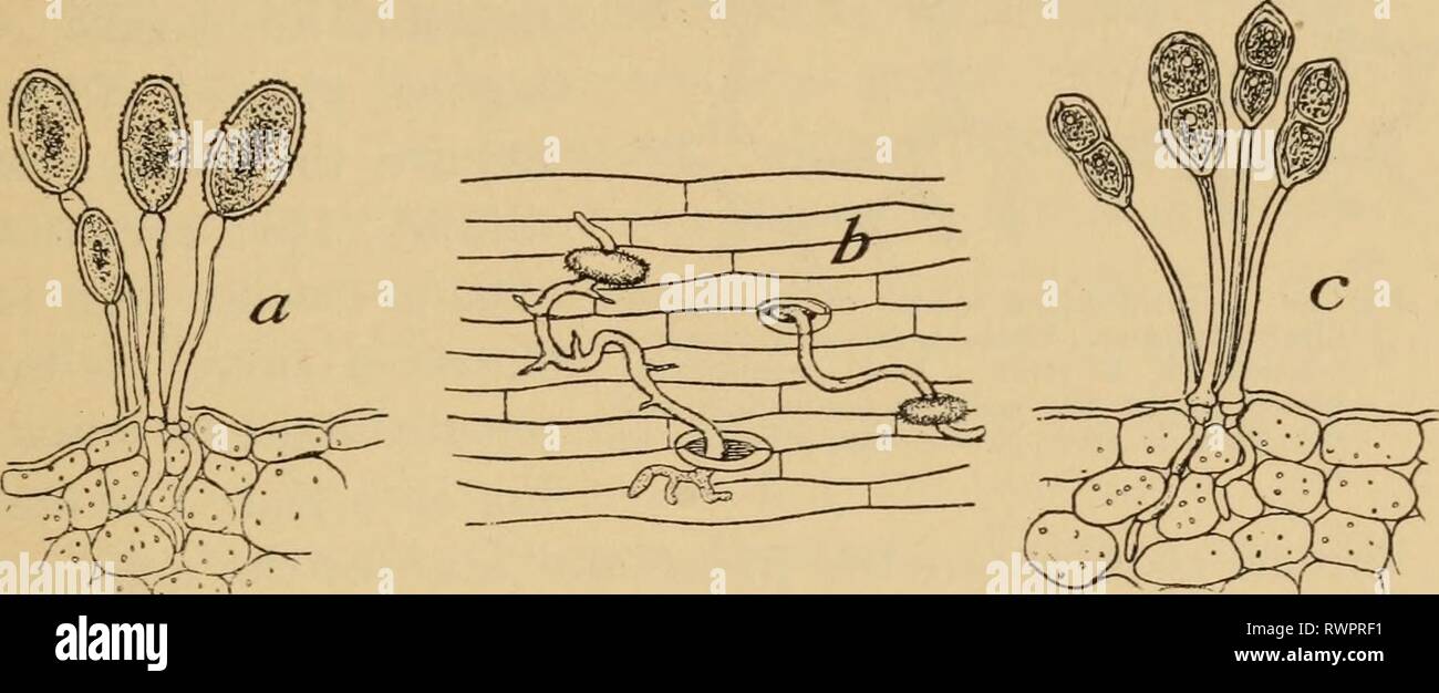 Elementary principles of agriculture; a Stock Photo - Alamy