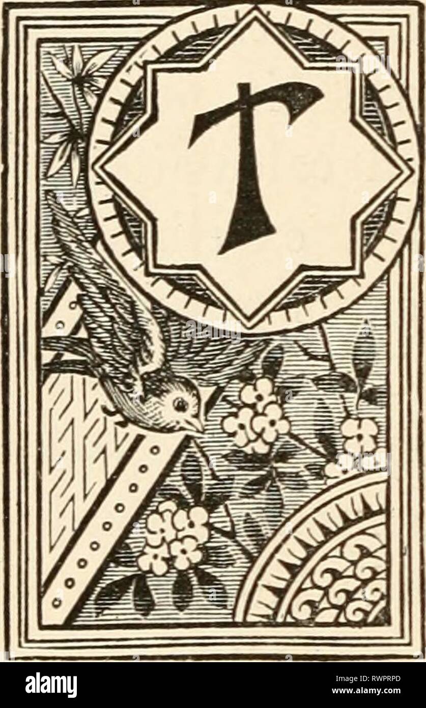 Eminent naturalists hi-res stock photography and images - Alamy