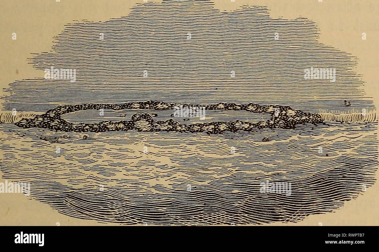 Elements of geology a Stock Photo - Alamy