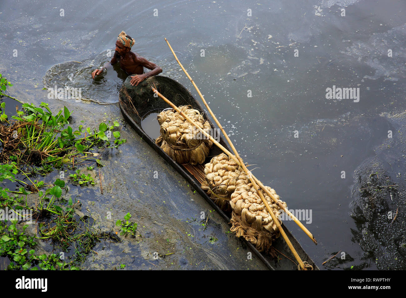 A palm tree boat also called donga carries jute fibres on a marsh in ...
