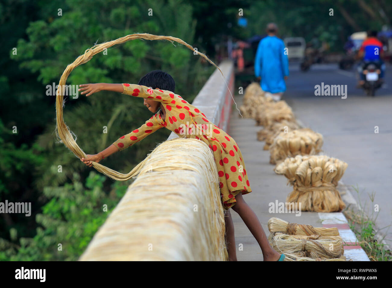A girl dries jute fibers on the roadside in Faridpur, Bangladesh Stock ...