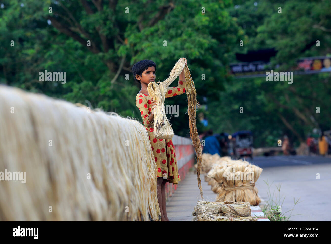 A girl dries jute fibers on the roadside in Faridpur, Bangladesh Stock ...