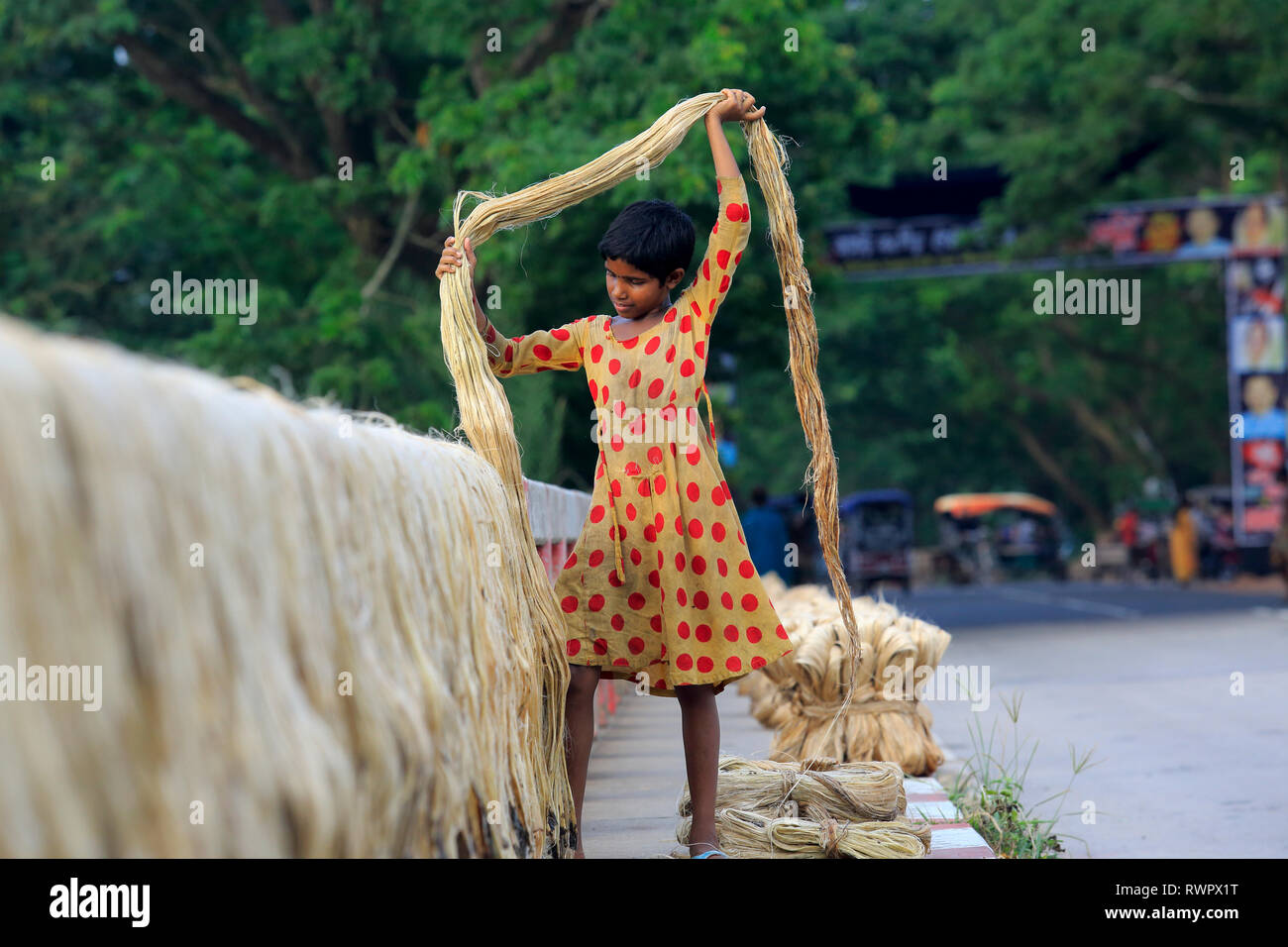 A girl dries jute fibers on the roadside in Faridpur, Bangladesh Stock ...