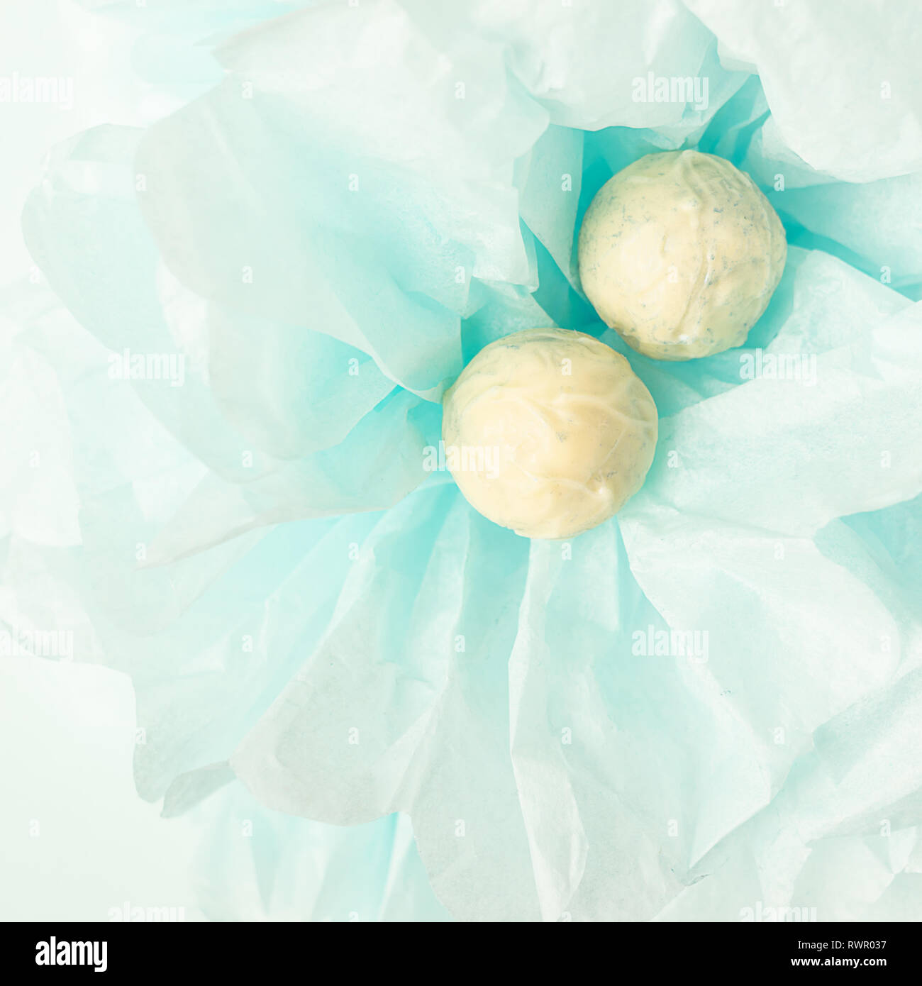 White Belgian chocolate round chocolates on a gentle blue background ...