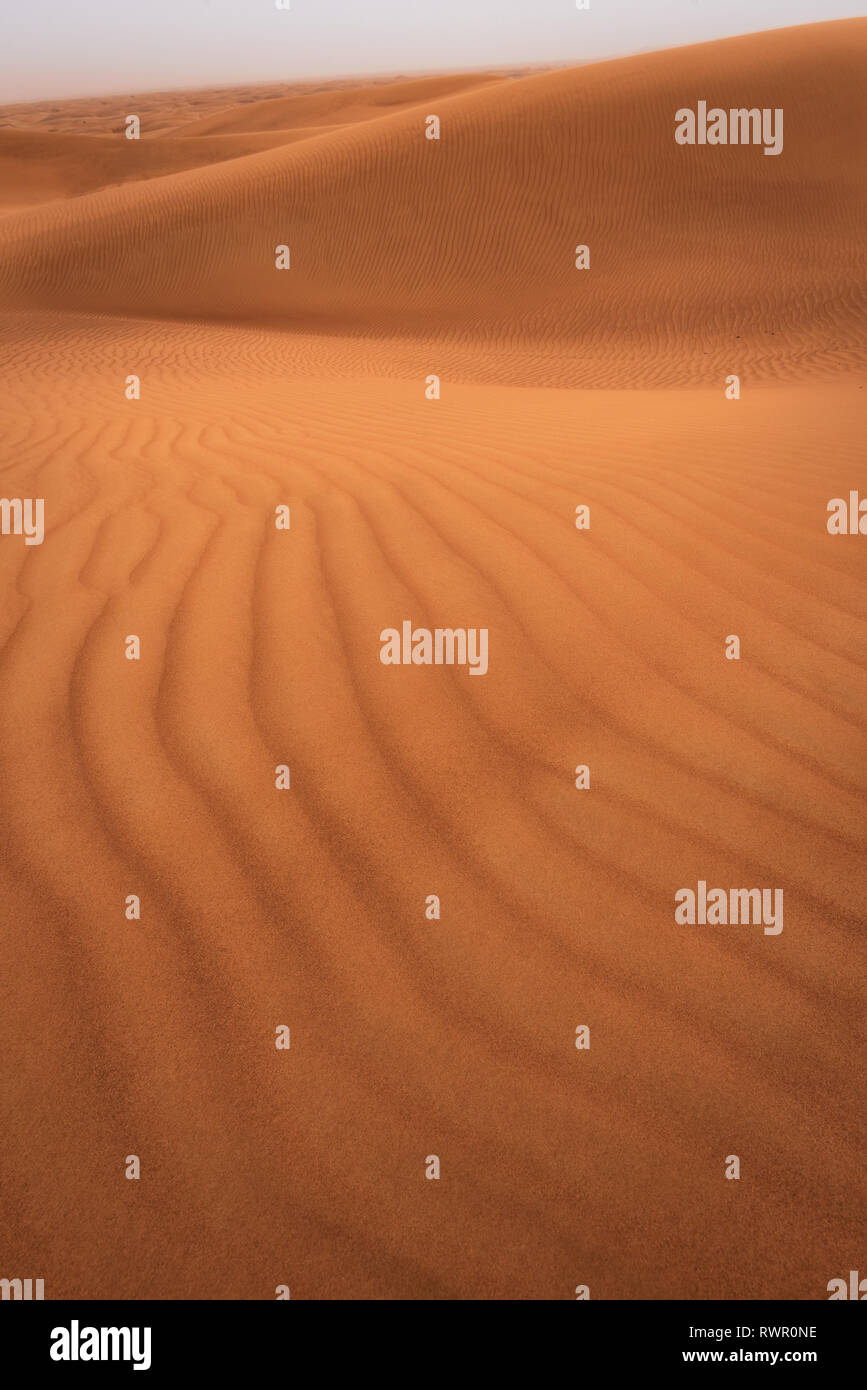Leading line in a desert Stock Photo - Alamy