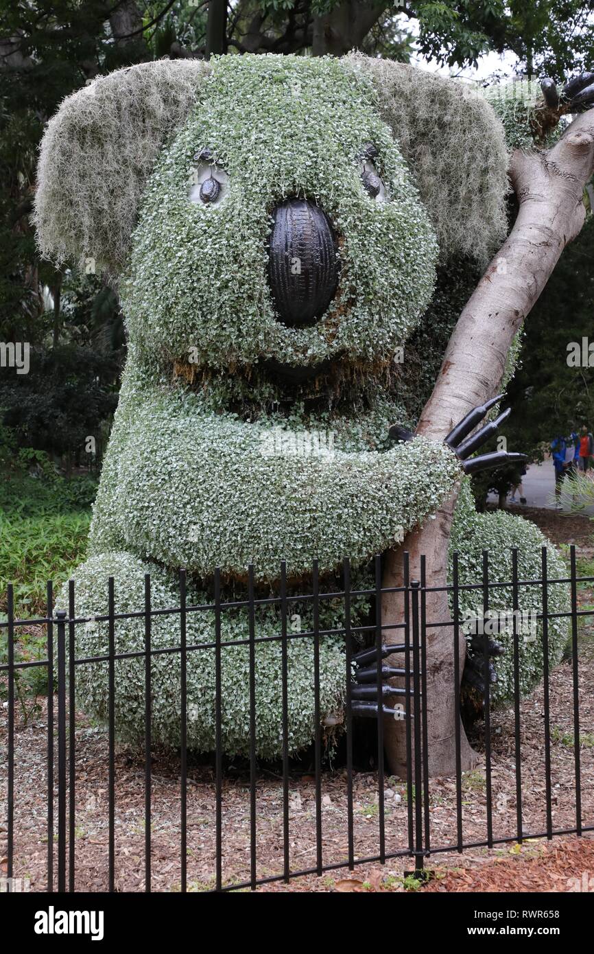 Giant topiary koala in the Royal Botanic Garden Sydney Stock Photo - Alamy