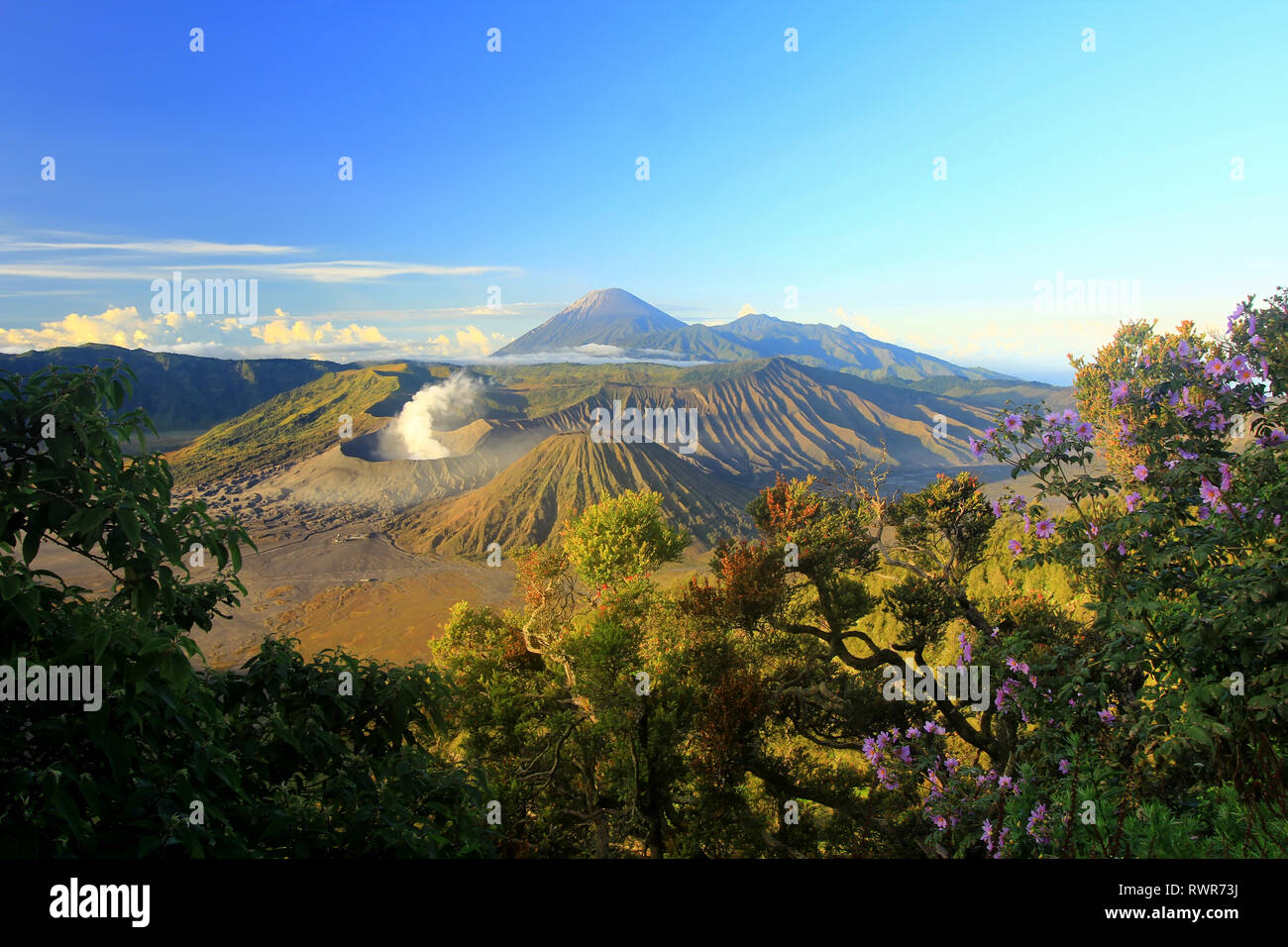 Explore bromo hi-res stock photography and images - Alamy