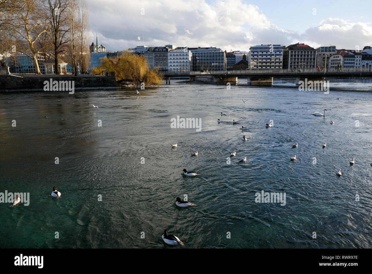 The Rhone river and Rousseau island - Ile Rousseau, Geneva, Swiss Stock ...