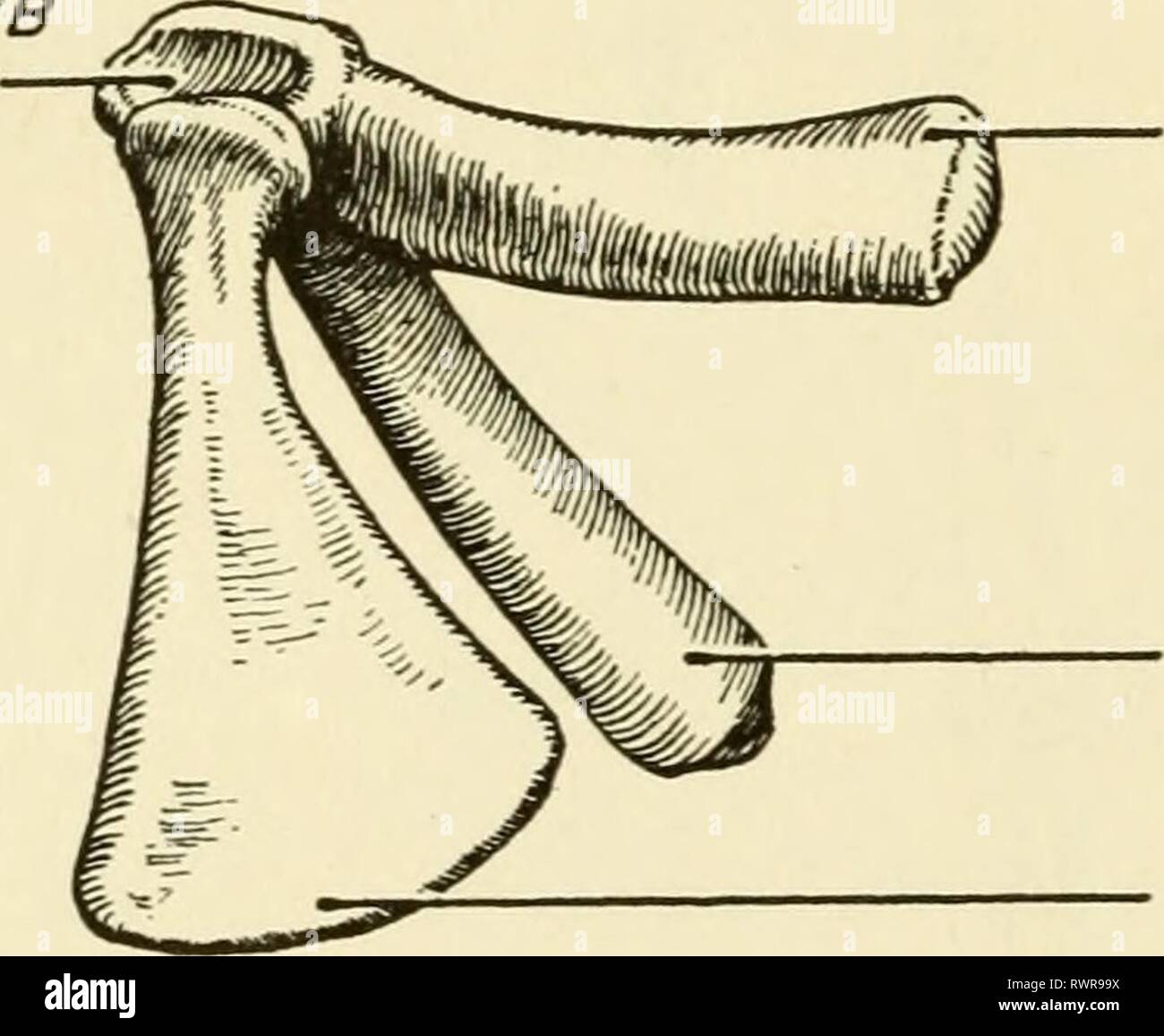 Elements of biology, with special Elements of biology, with special ...